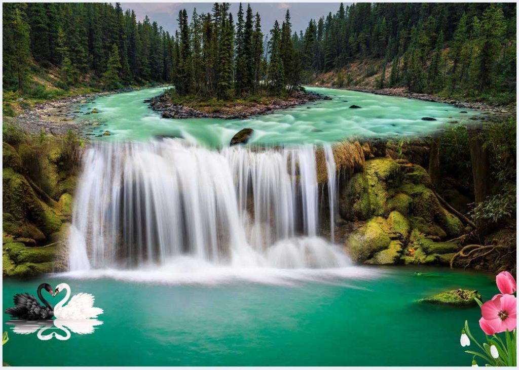 AZCW2018008 – Azmi Wallpaper